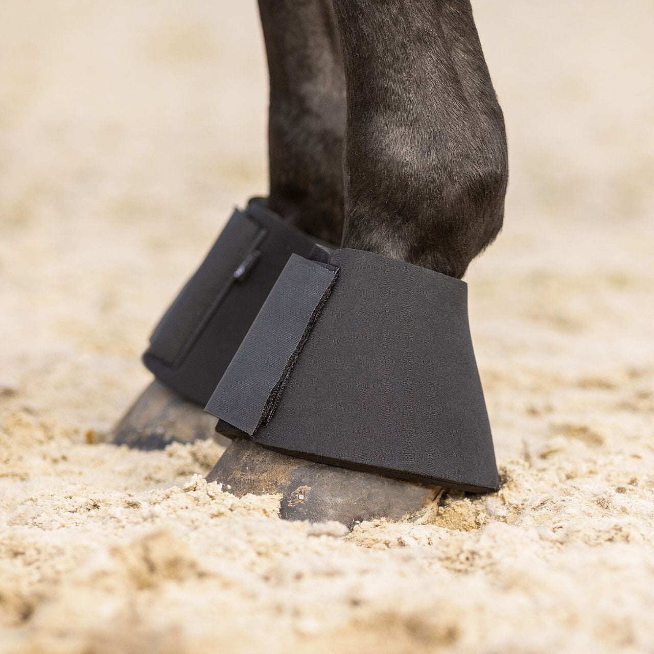 Hufglocken Basic Neopren – Brands of Q | Profi-Tack